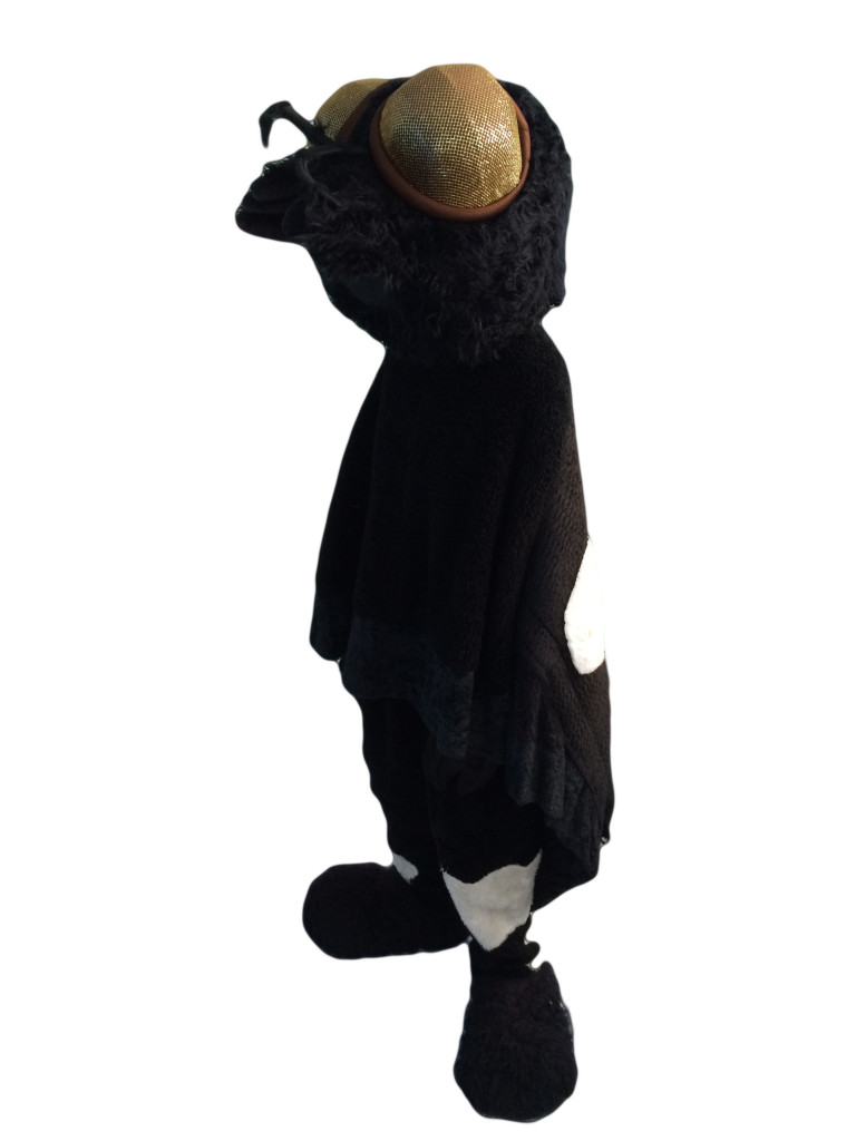 Fly Mascot – Mascot Rental for Event & Children Party